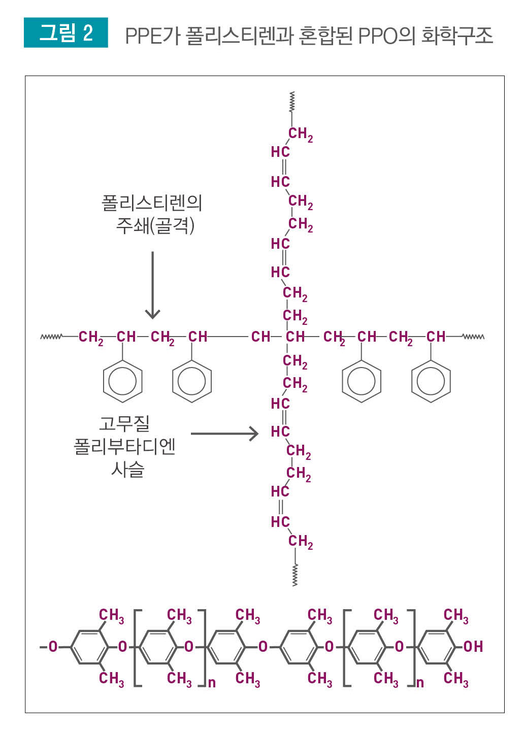폴리머 대결 PPO 대 PA66
